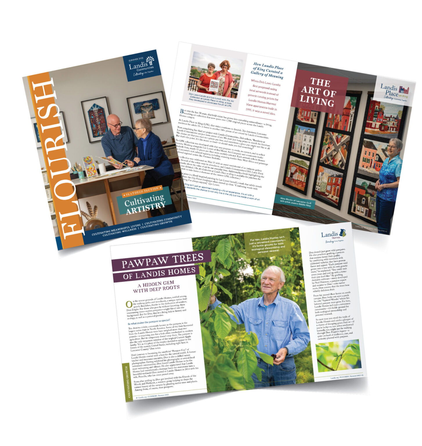 The Summer 2025 Issue of FLOURISH Has Been Released! - Welsh Mountain Home